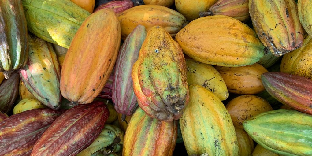 Cocoa Price Crisis Explained: Why Chocolate Costs More in 2026 | JayArr ...